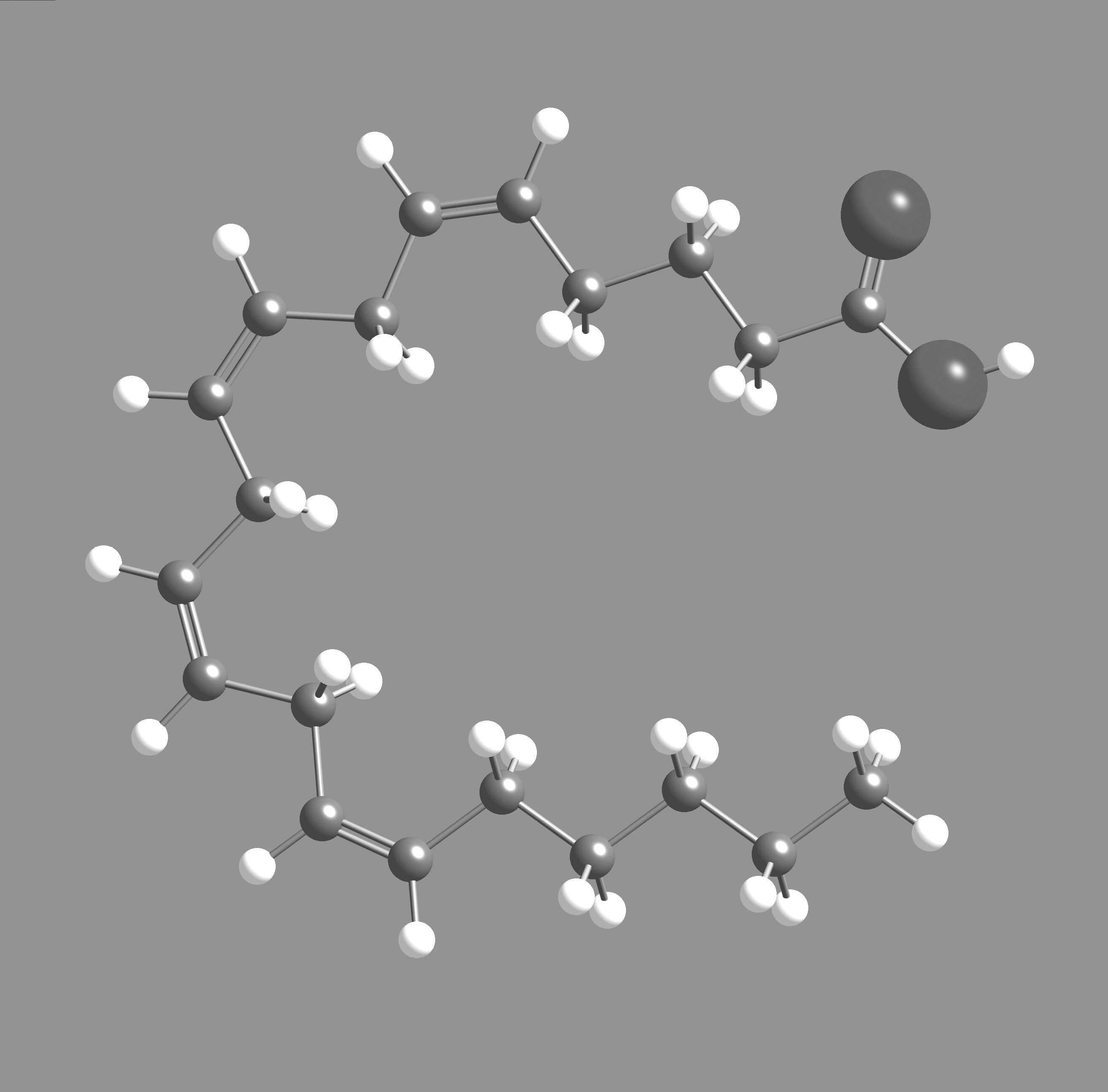 Fatty Acid Molecular Structure